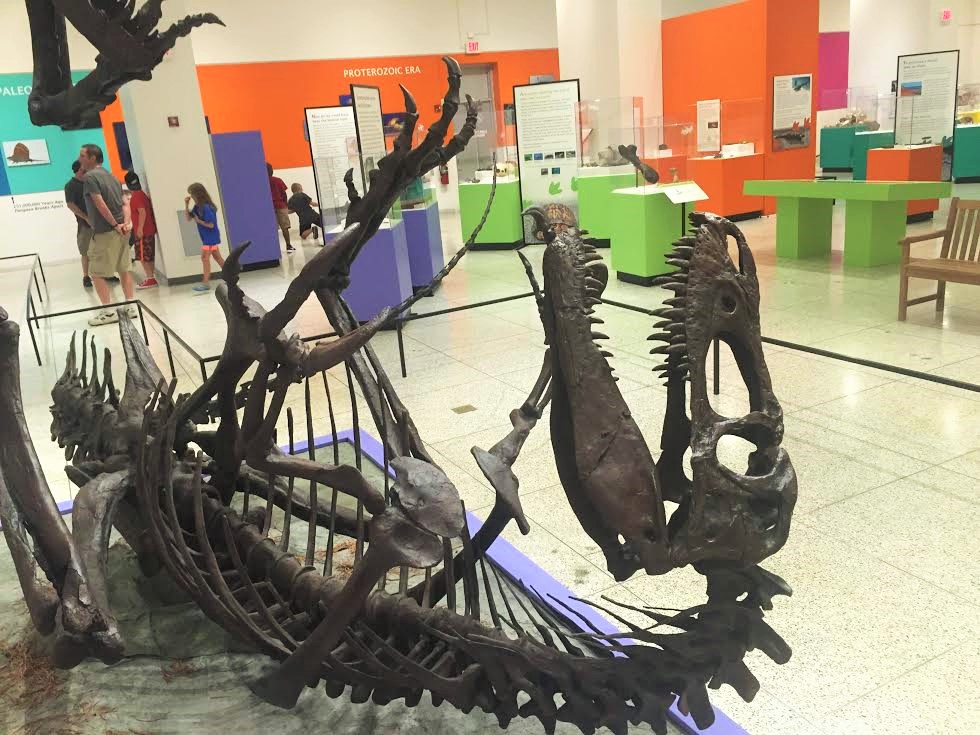 Prehistoric Beast of the Week: Visiting the New Jersey State Museum ...