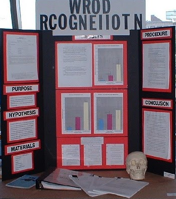 YCES Mad Science Fair: Display Board Examples