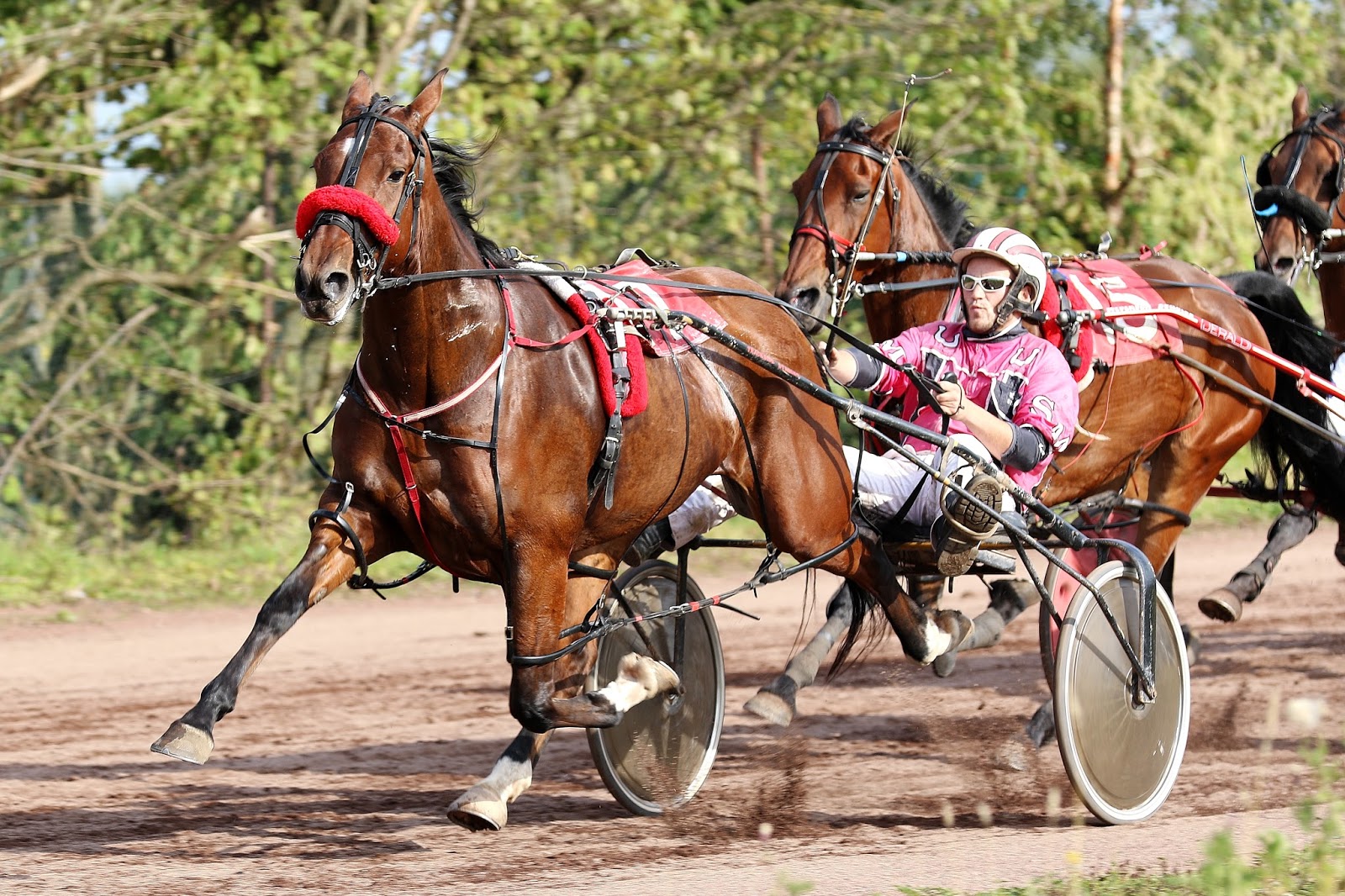Harness Racing in the UK: February 2016