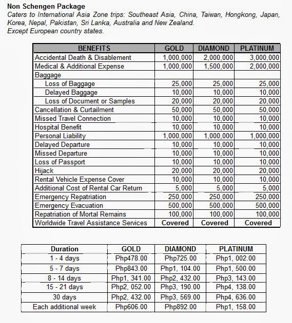 How to Apply for BPI/MS Travel Personal Insurance - SavingsPinay