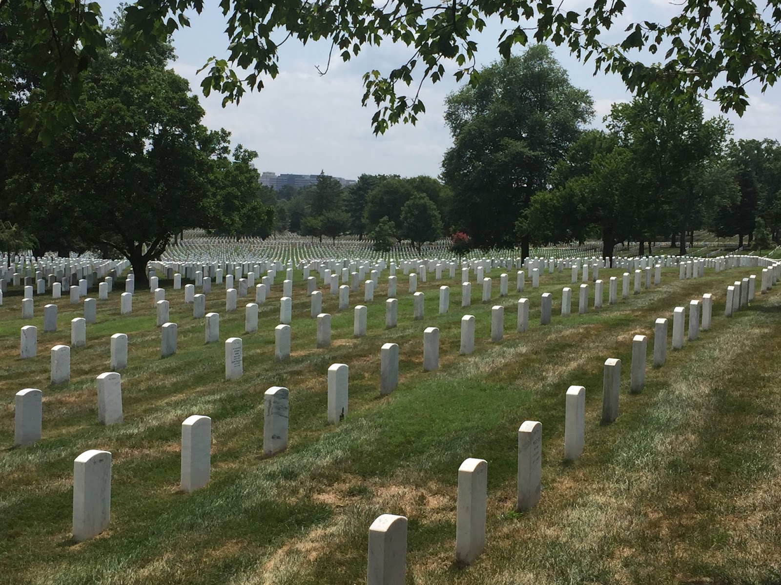 Dan Lipscomb Baseball Tour