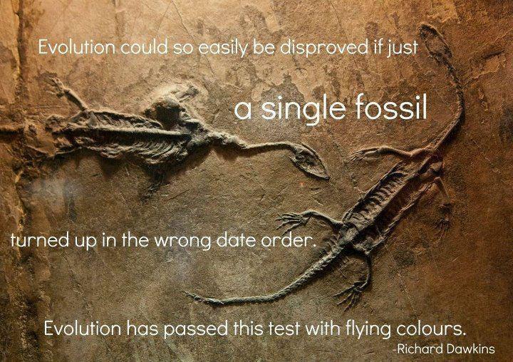 Sandwalk: Disproving Evolution