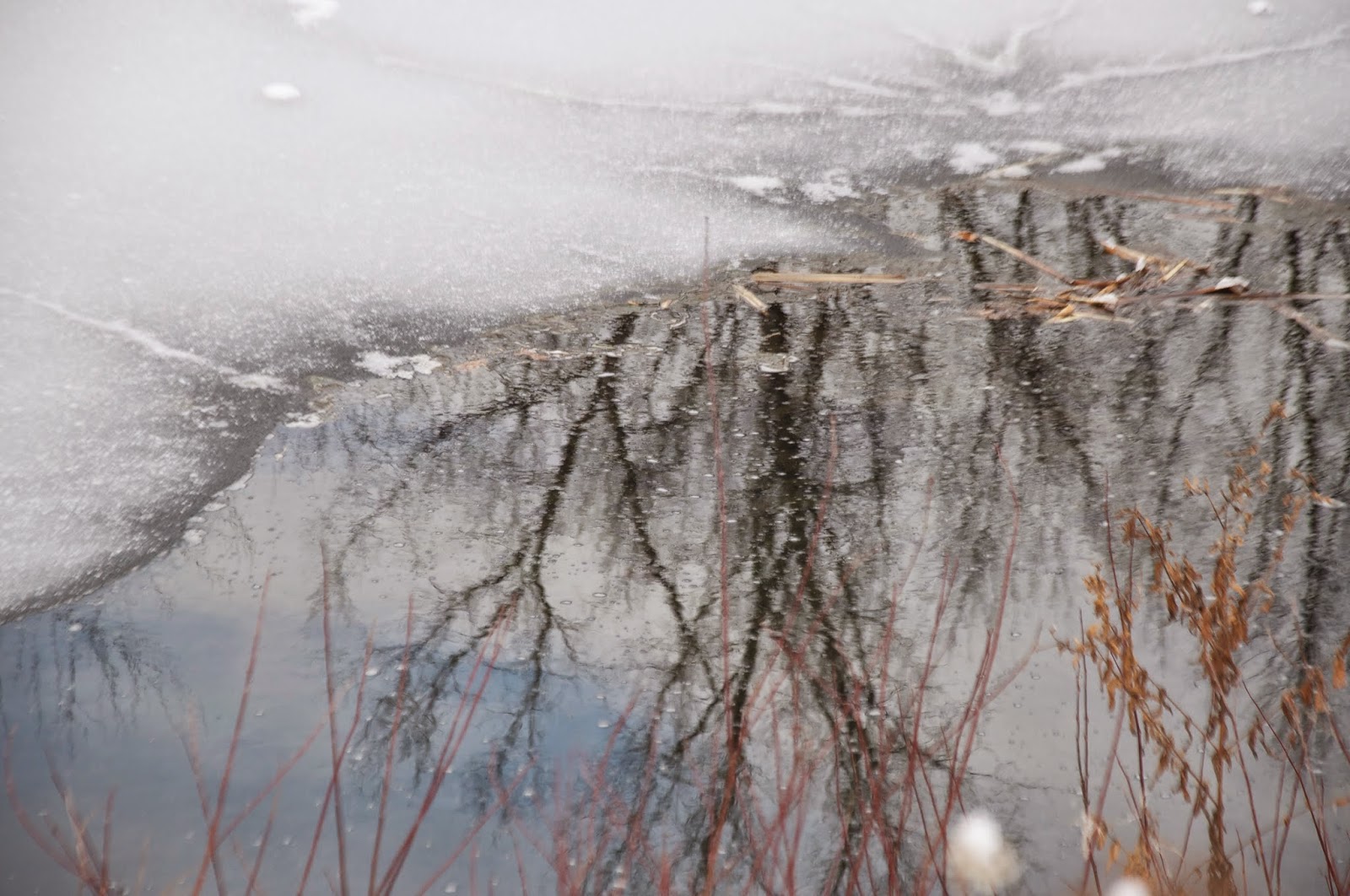 Skyline High School Digital Photography I: Lesson 12: Part 1- Straight ...