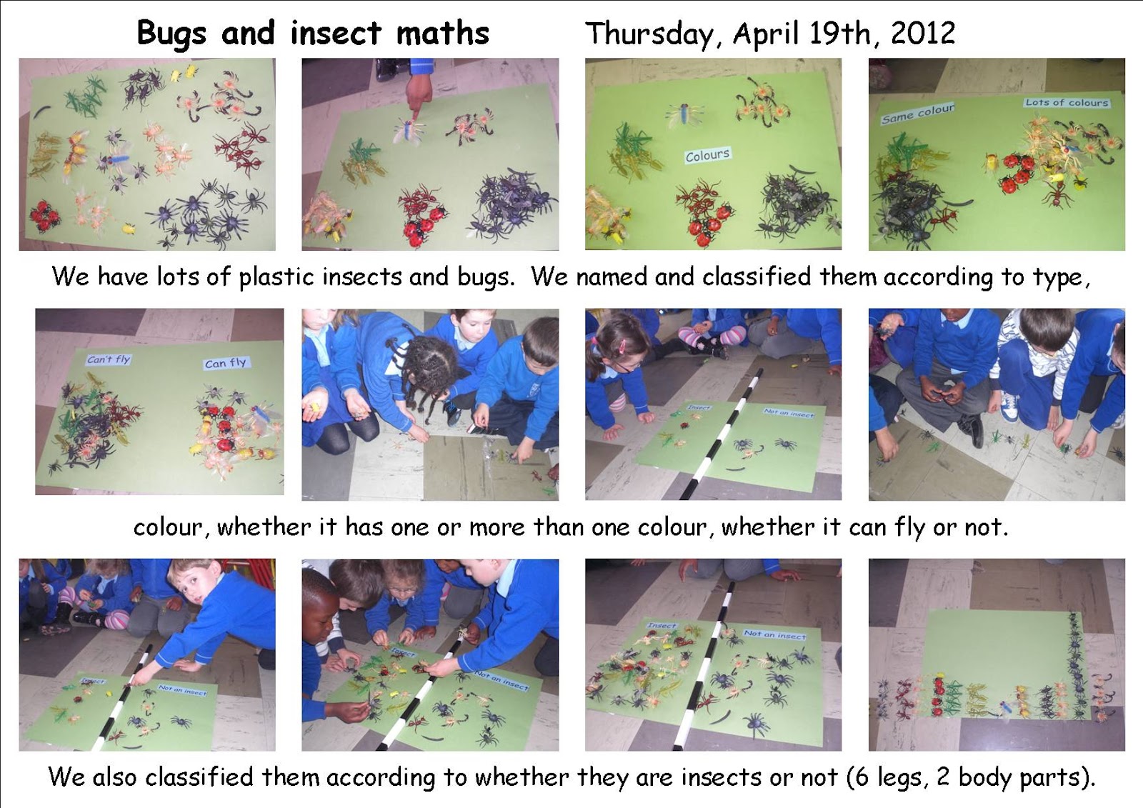 Maths Page: Bugs and insect maths in senior infants
