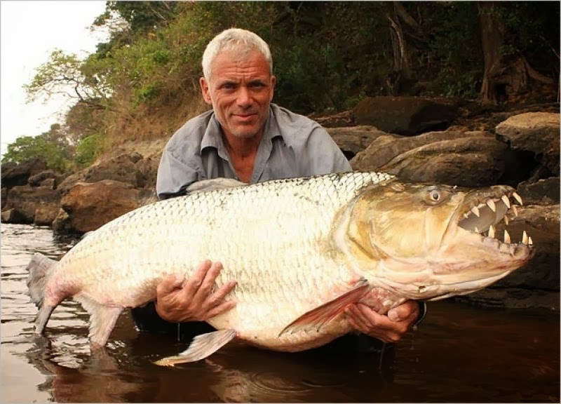 Monstros do Rio com Jeremy Wade ~ Você realmente sabia?