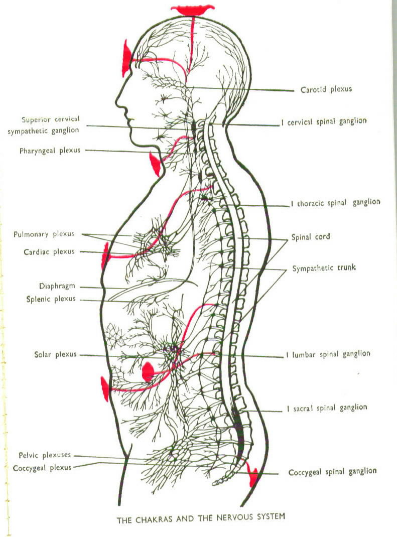 Biofisika: Biofisika: Warna Pelangi dalam Tubuh Manusia
