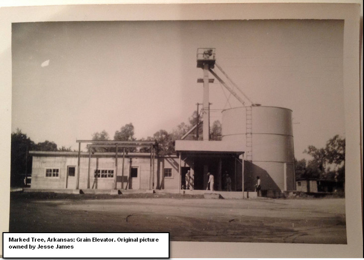 History Of Marked Tree Arkansas at Todd Padilla blog