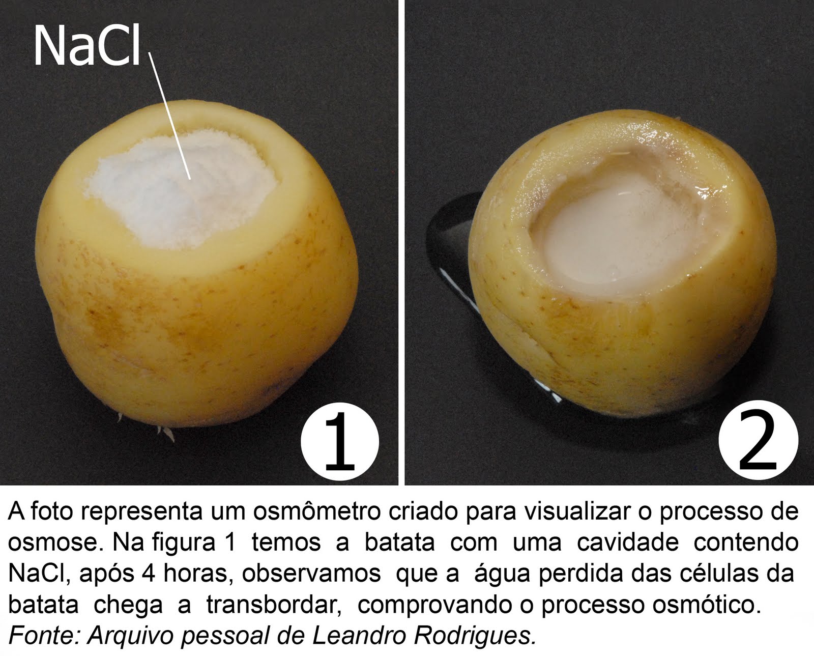 EDP-III: Comprovando a Osmose