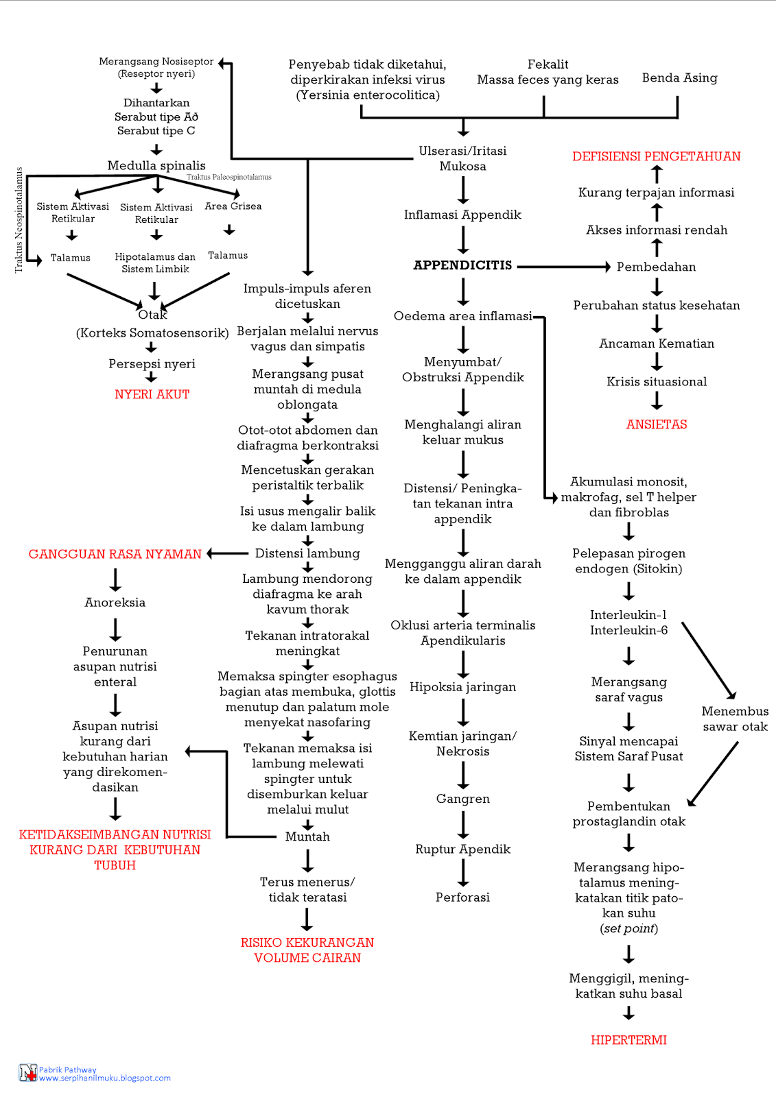 Pathway Apendicitis
