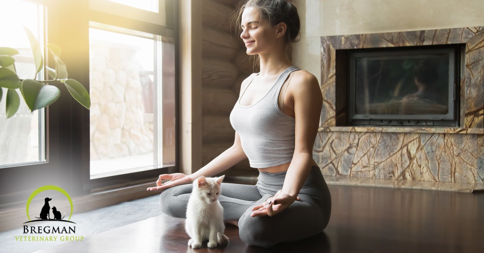 Learn to Pet-itate! - Bregman Vet Group