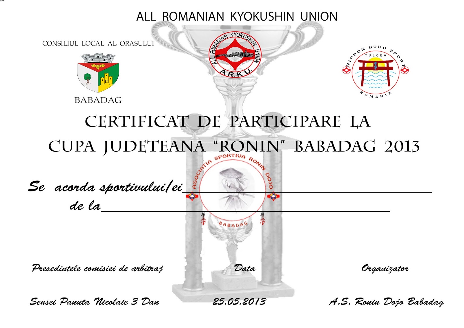 NIPPON BUDO SPORT TULCEA: mai 2013