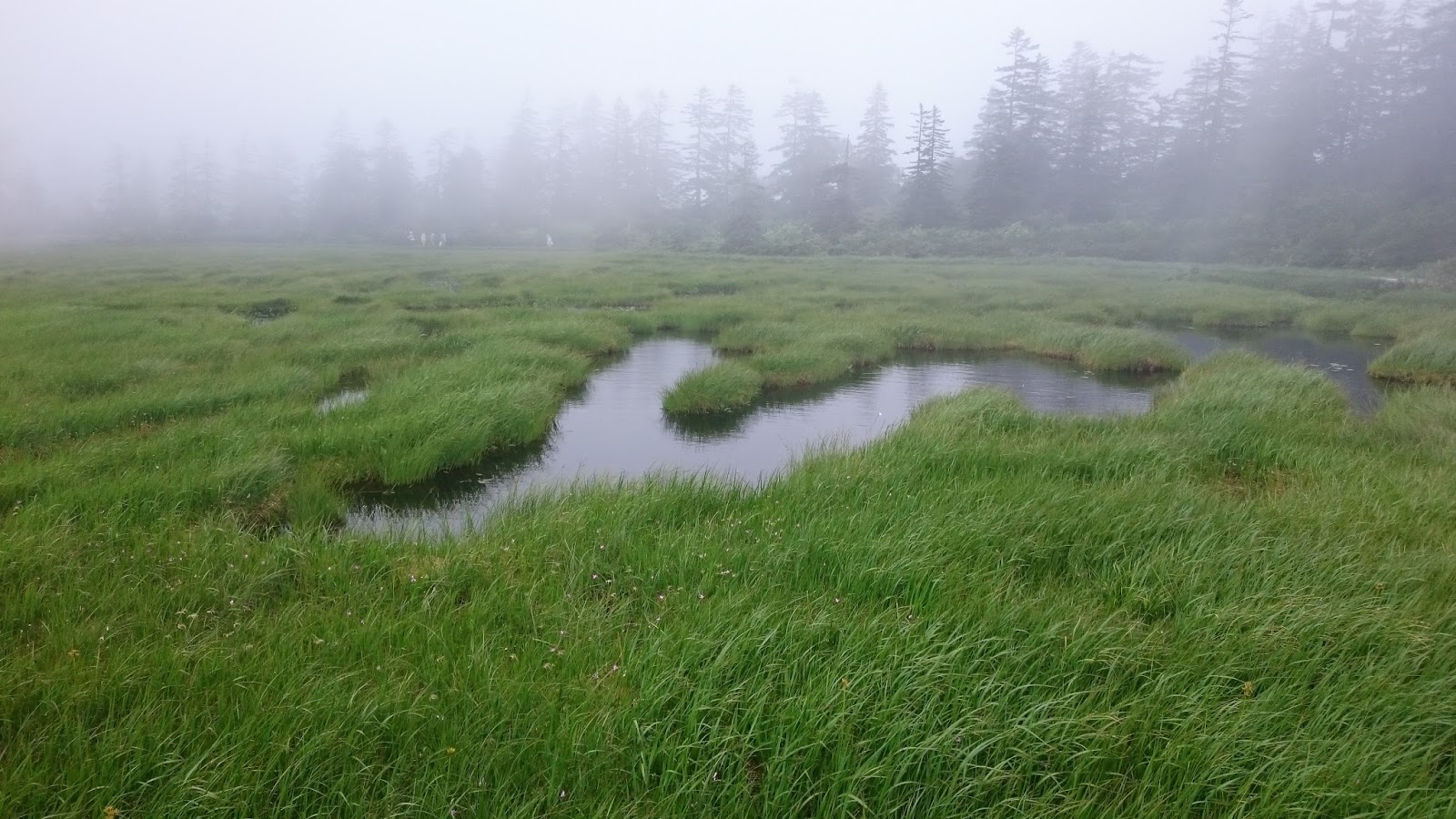 talk-hokkaido: Shinsen-numa Marsh 3