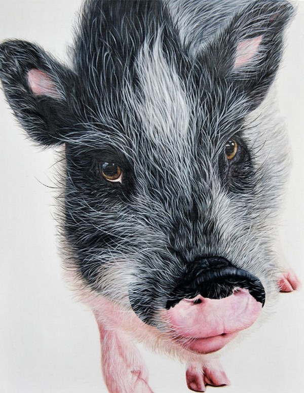 El arte es su máxima expresión : Fotos de cuadros de animales pintados ...