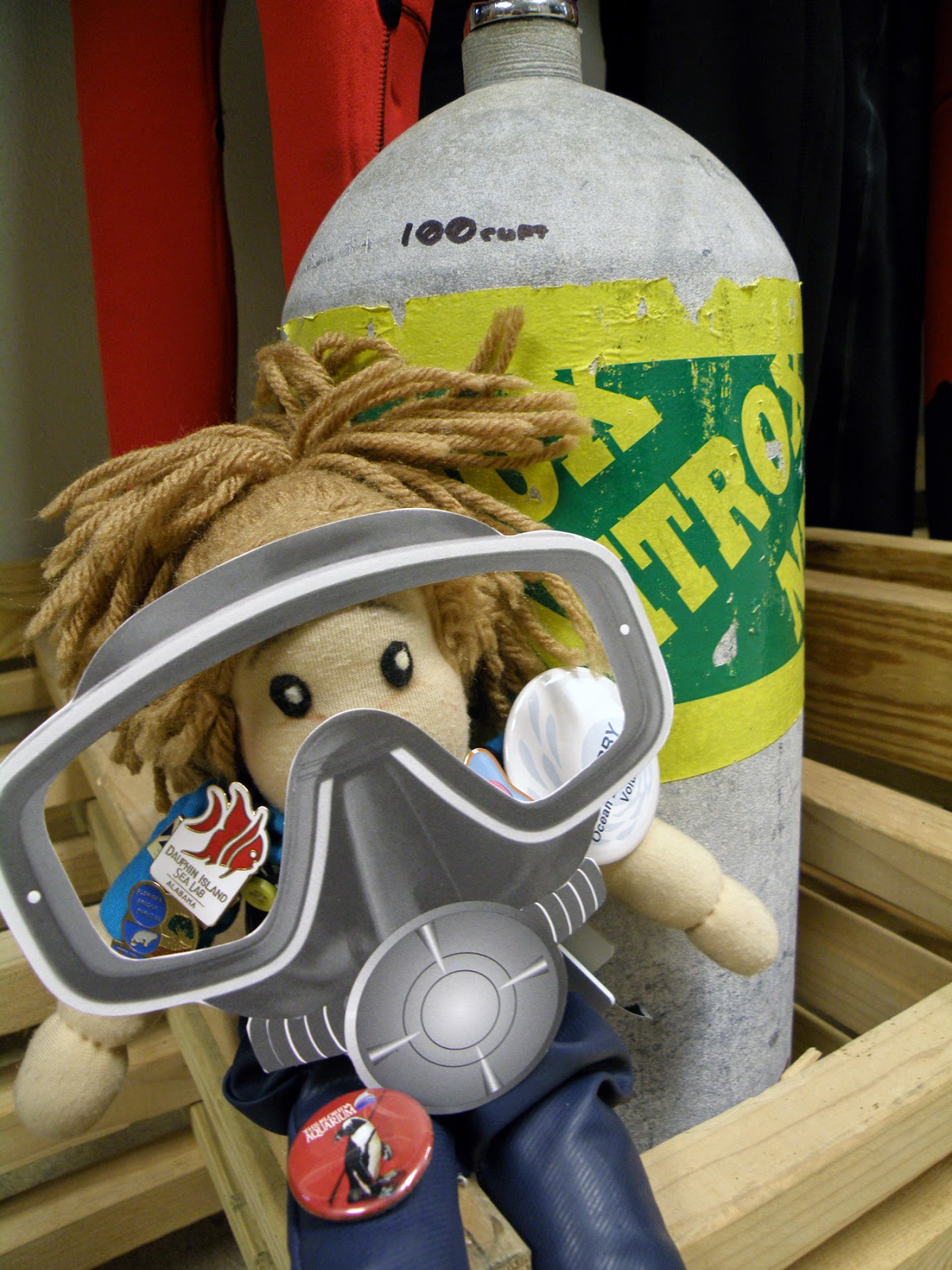 Abby's Aquarium Adventures: From fish surveys to the DUOY educator ...