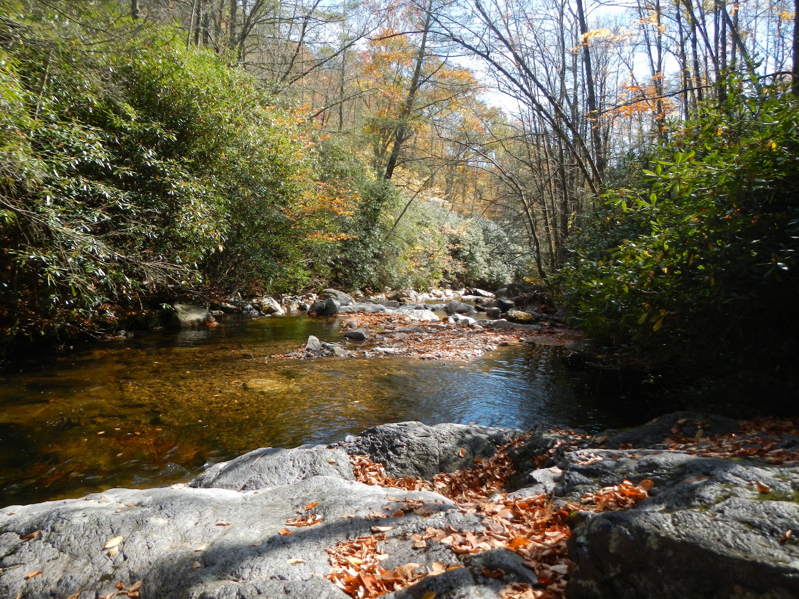 Oh To Be Hiking!: Dolce - Hiking Back to Grayson Highlands State Park