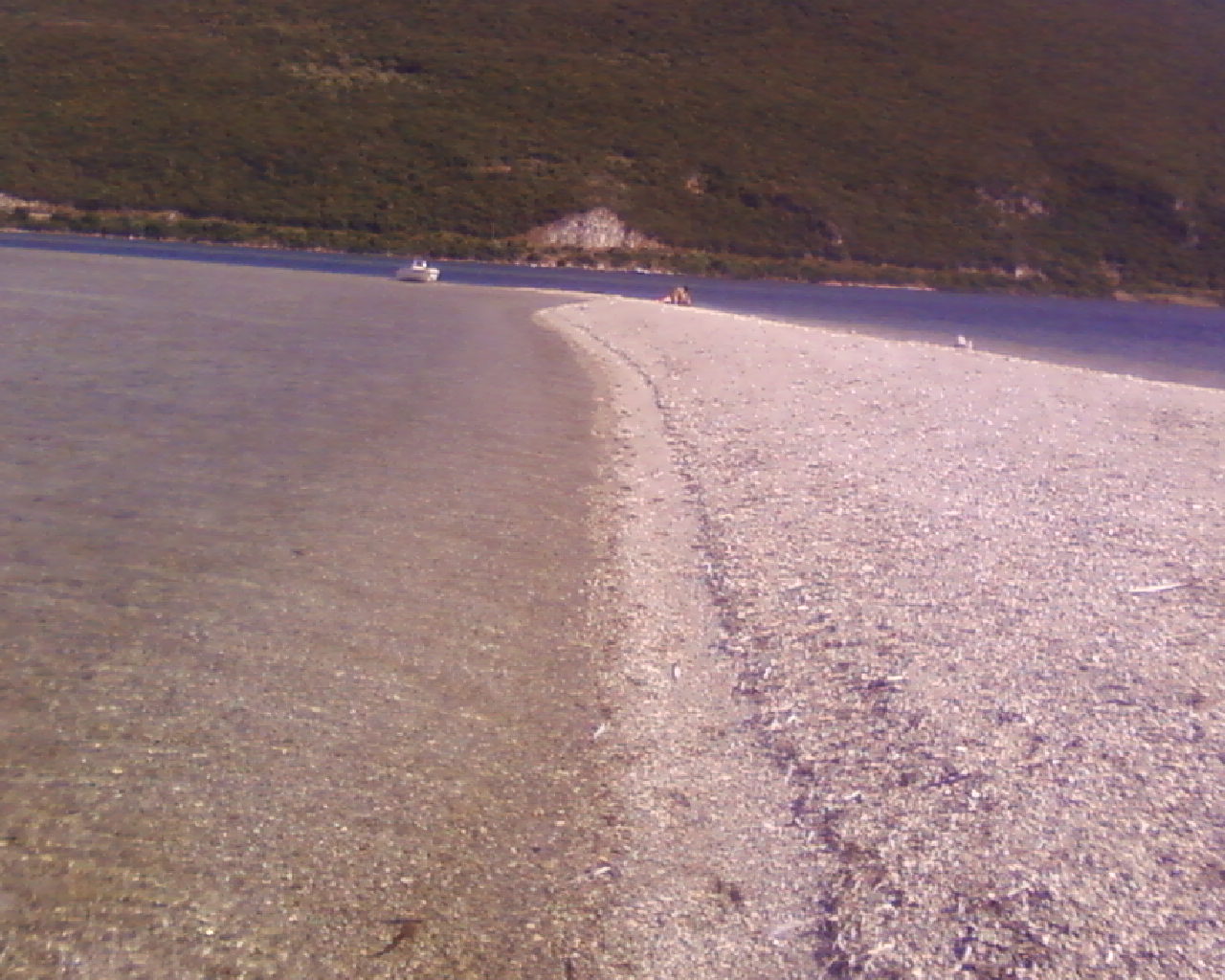 Τα θαλασσινά....: 16/8/2011