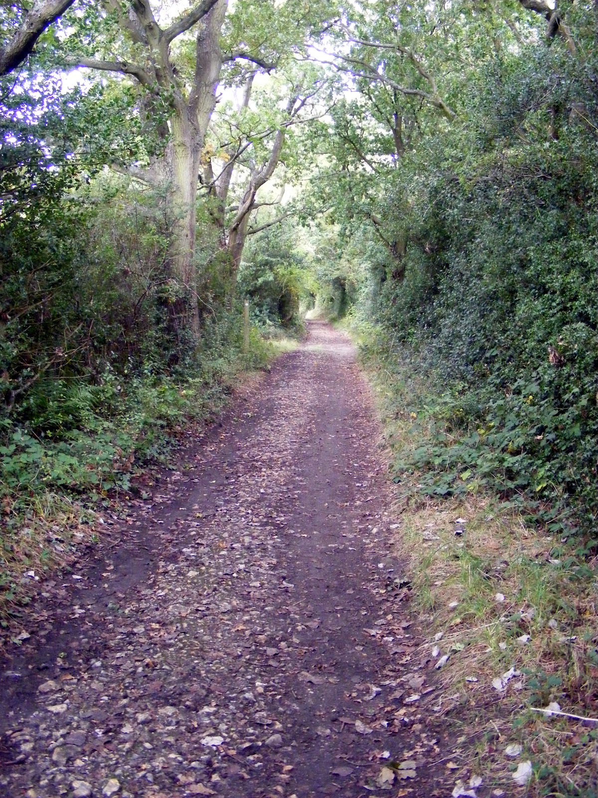 TheLondonLoop: London Loop-Hamsey Green to Banstead 3rd October 2012