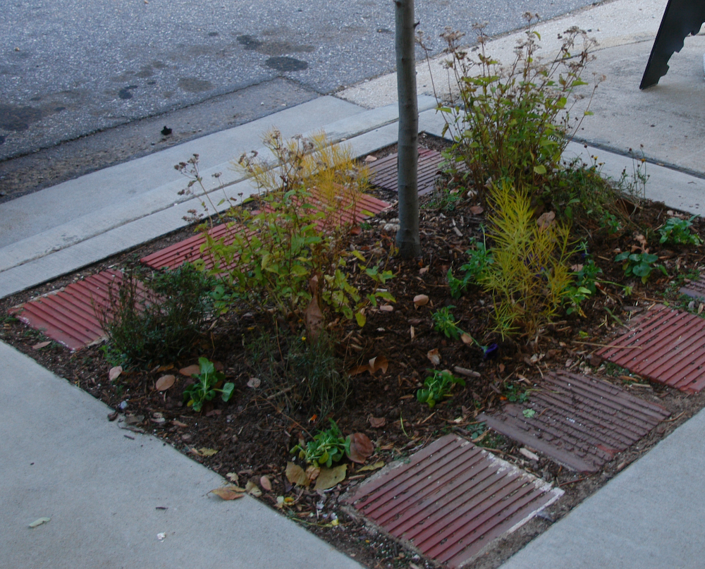 A fall street planting