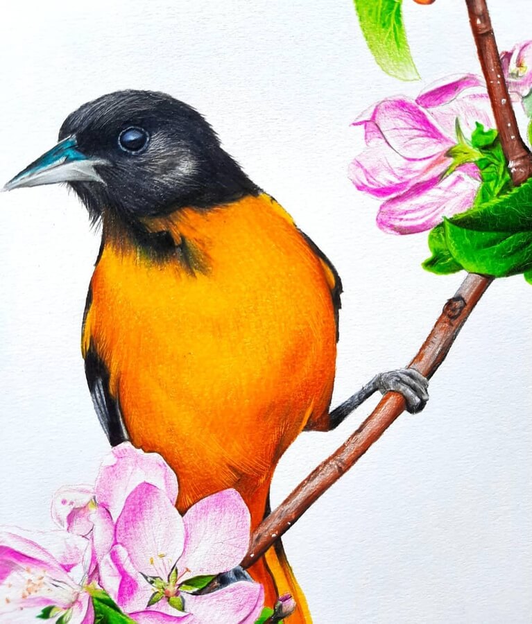 Design Stack: A Blog about Art, Design and Architecture: Drawings of 12 ...