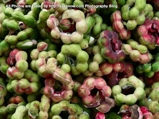 Get Much Information: Fruits - 2