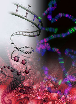 Epigenetics: A Biological Mystery : Photo of the Day: The Art of ...