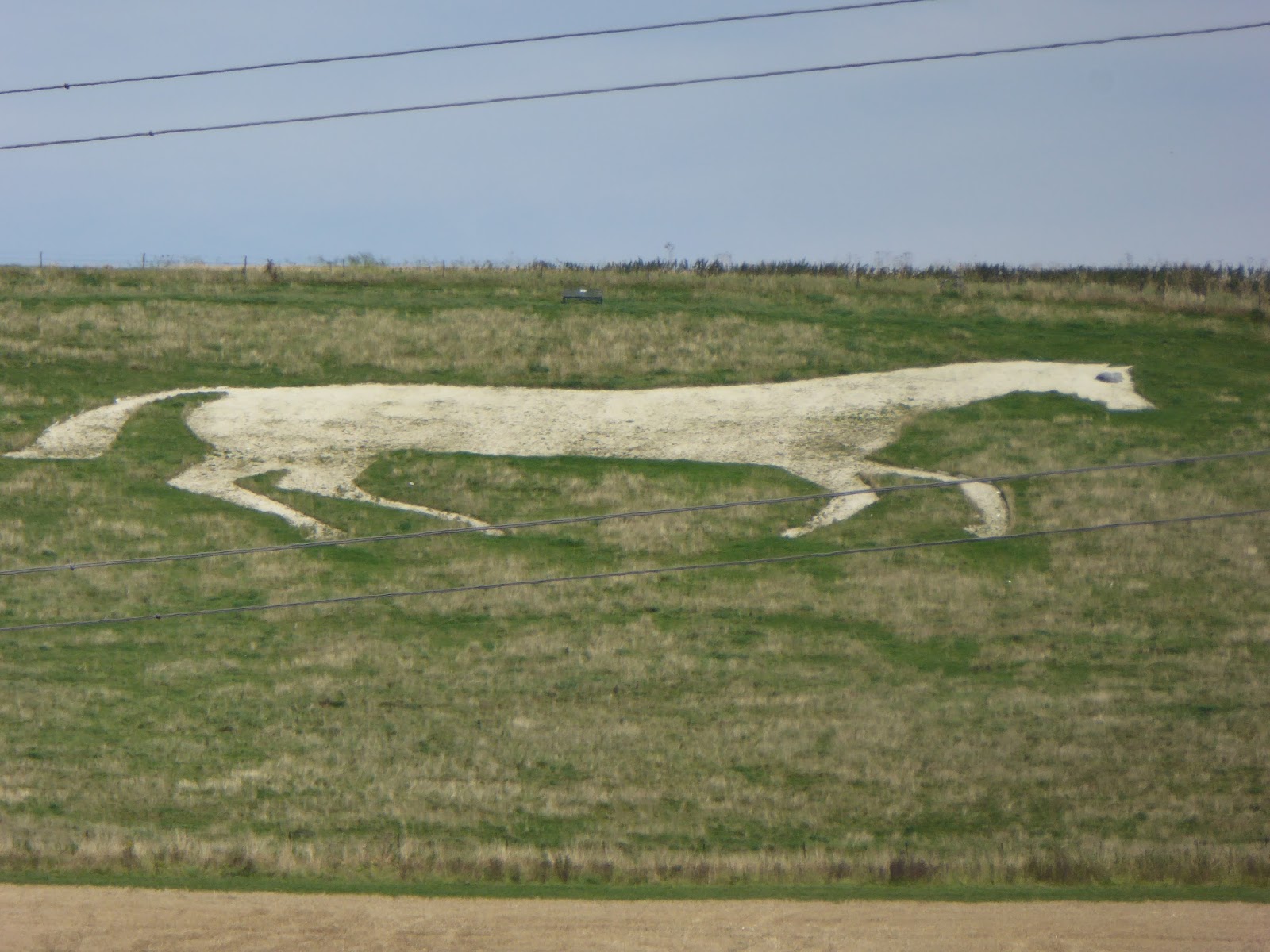 Random encounters with the unusual: The Devizes Millennium White Horse
