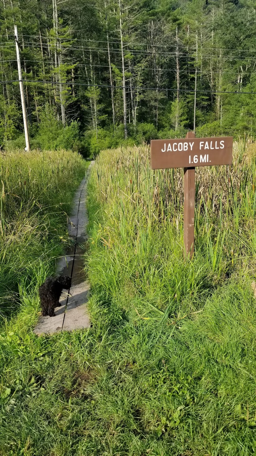 Valley Girl Views: Hike To Jacoby Falls