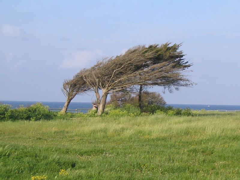 L'aventure continue ...: Il vente la dépouille...