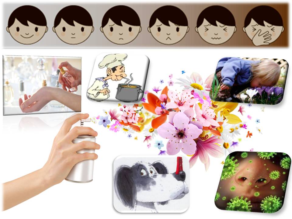 AROMATERAPIA, SALUD Y MAGIA: CLASIFICACIÓN DE LOS OLORES