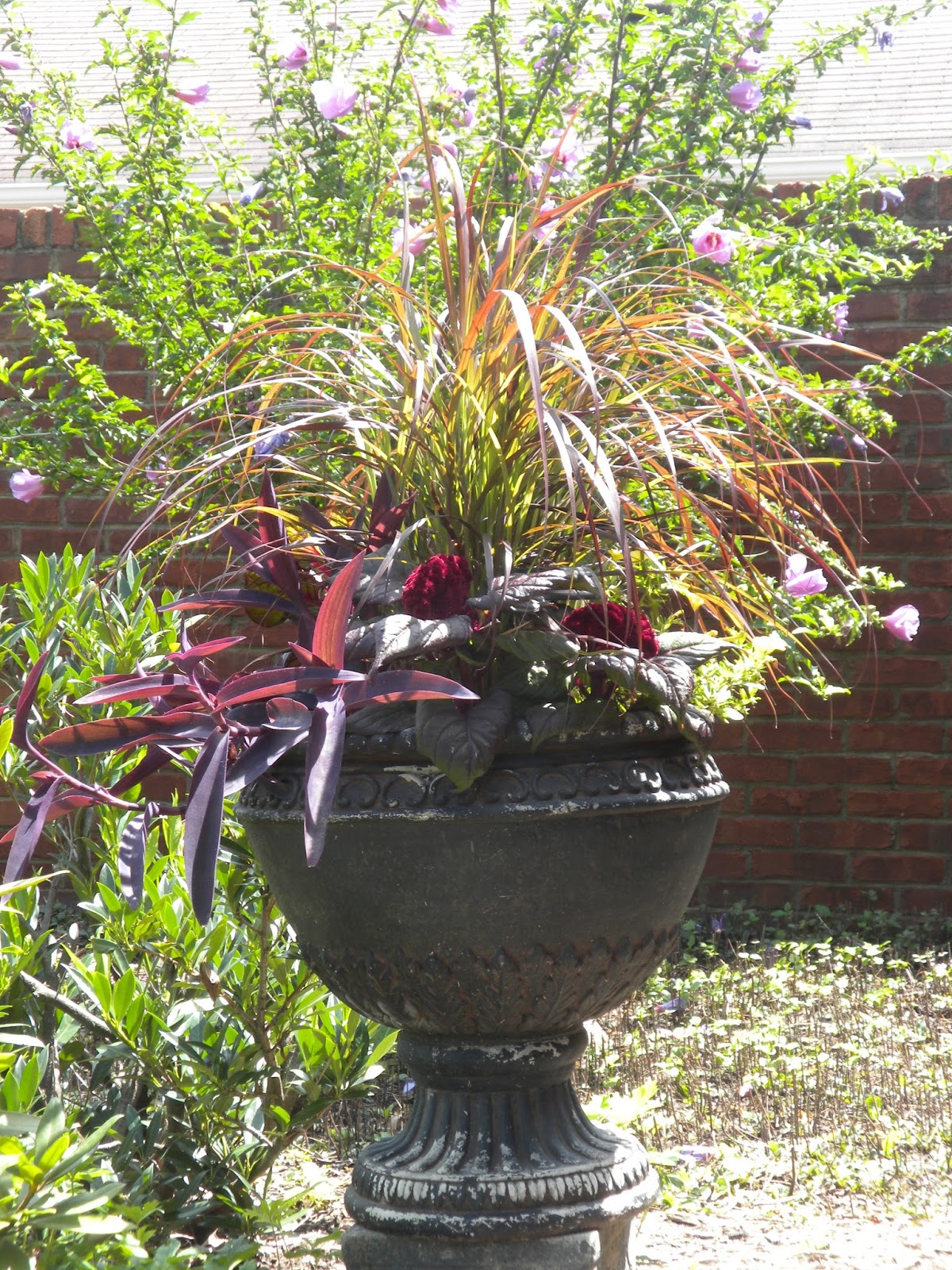 Panoply: Mid-summer Home and Garden Snippets