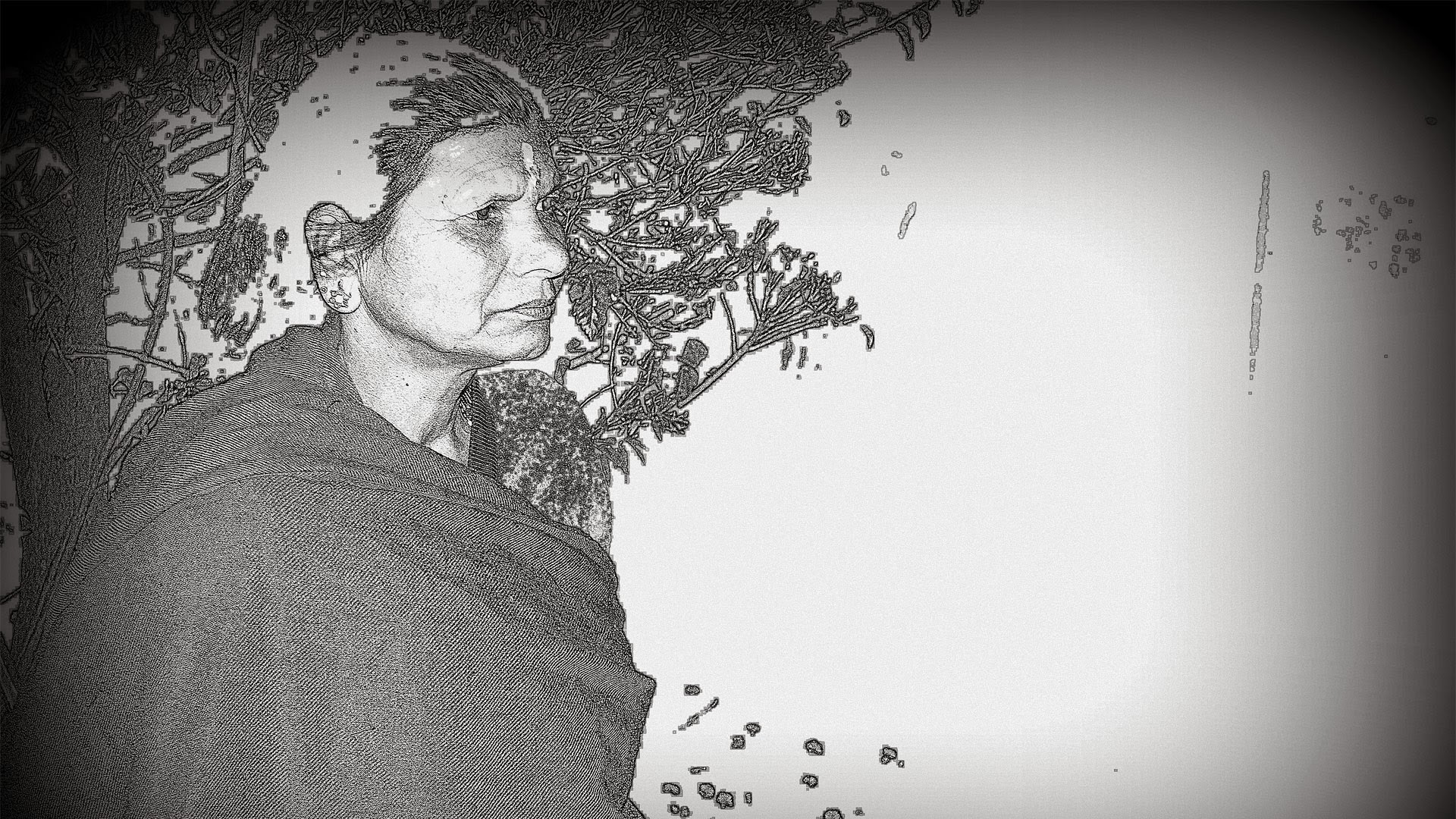 Pidit | Nepali Walls