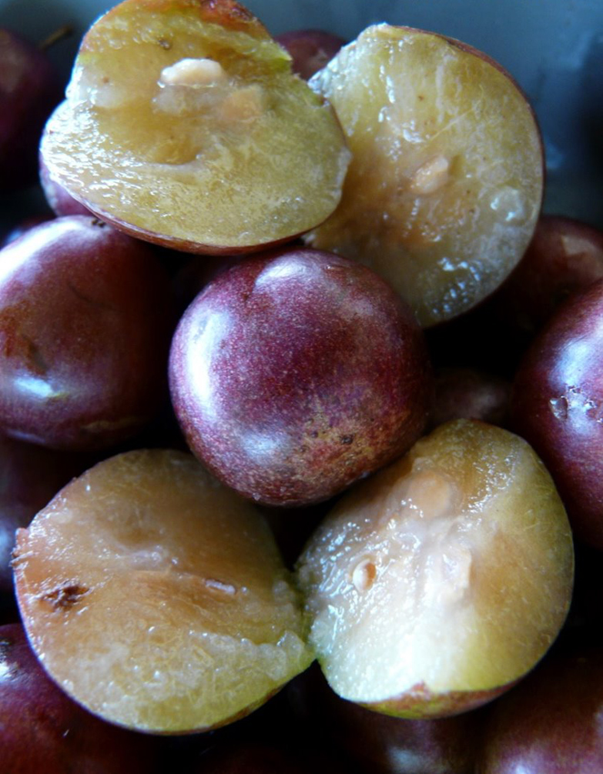 voiliertraoumad: Tarte aux Prunes’café à la crème d’amande