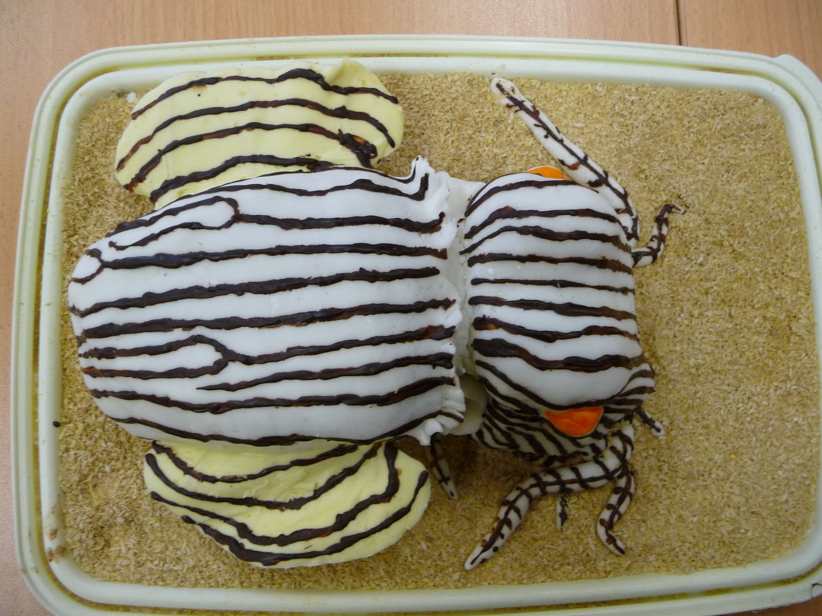 cakey fun!: Sarah's cute cuttlefish cake