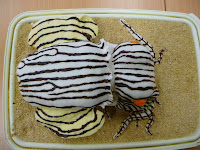 cakey fun!: Sarah's cute cuttlefish cake