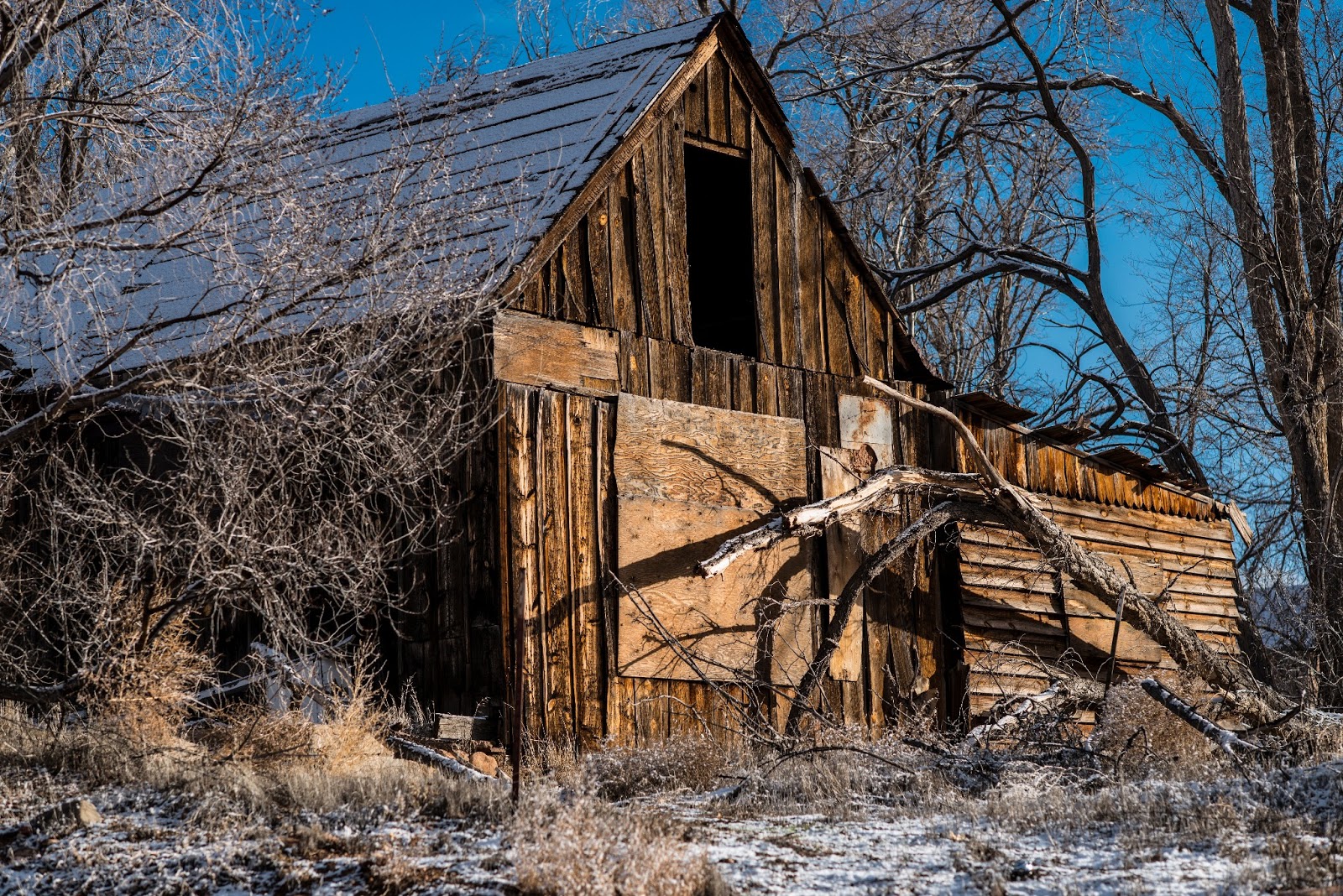 Falcon Ridge Ranch: Mayor's walk in Virgin Utah