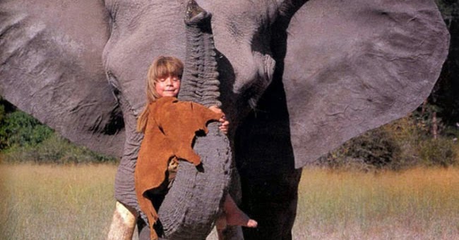 White Wolf : Tippi Degre - Young French girl who befriended the wild ...