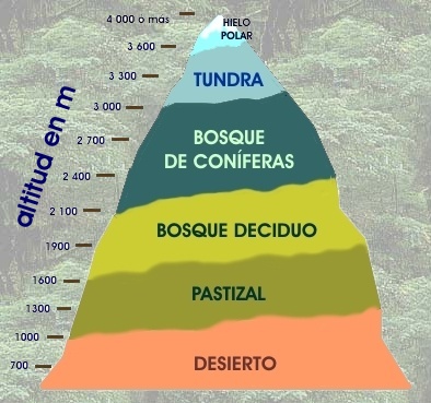 Geografía Local Caso: Parroquia Idelfonso Vásquez: Clima