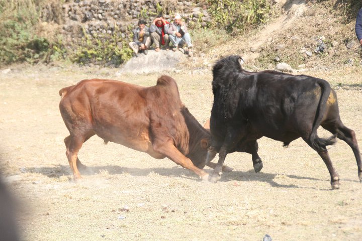 SHARE TWEET TELEGRAM WHATSAPP PIN IT SHARE