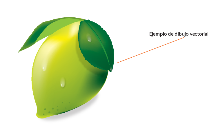 ¿Cuando debemos usar Adobe Illustrator?