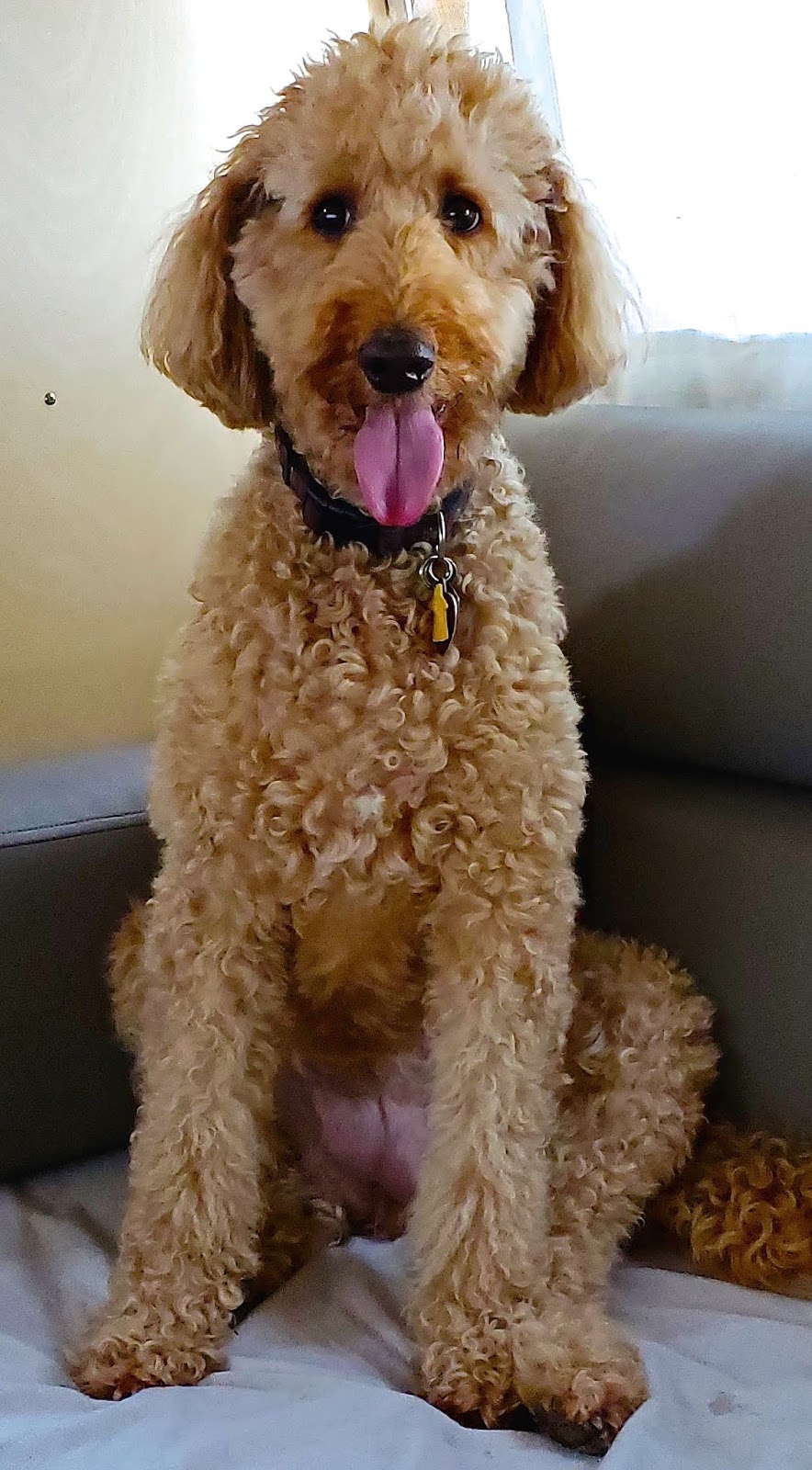 To unhitch or not unhitch...that is the question...