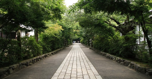 Japan - Shrines and Temples: sandoo approach