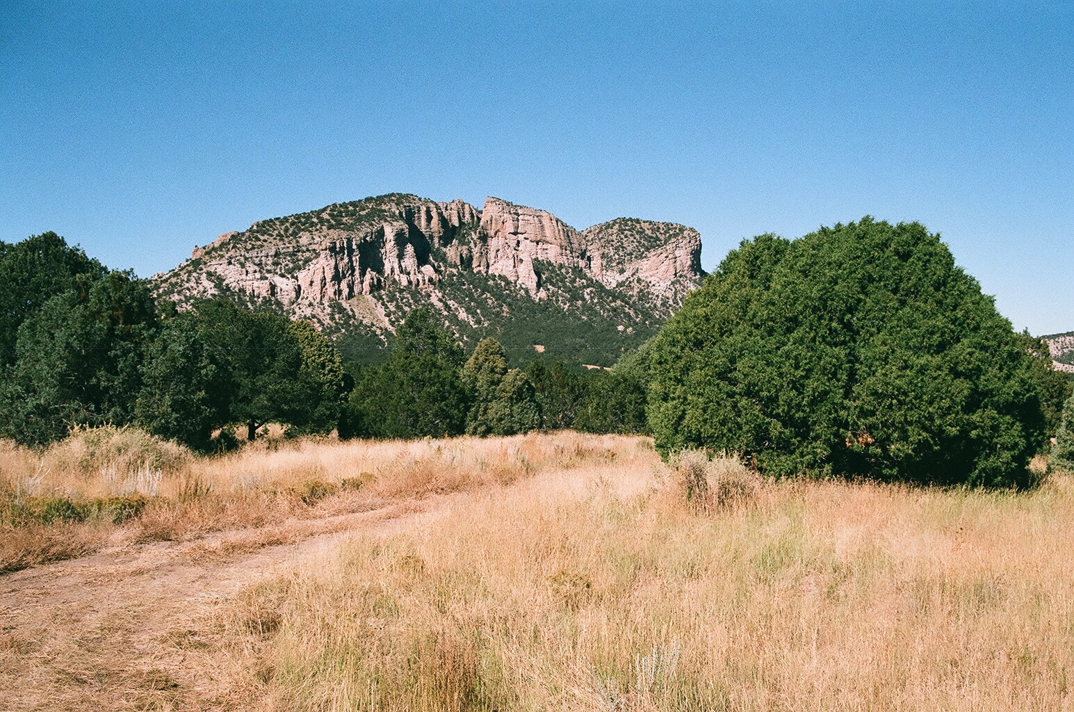 Southern New Mexico Explorer: Sawtooth Mountains - Cibola National Forest