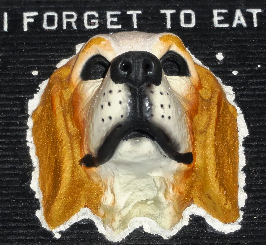 Hindsight : I Forget to Eat