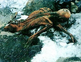 HISTOIRE: ÖTZI