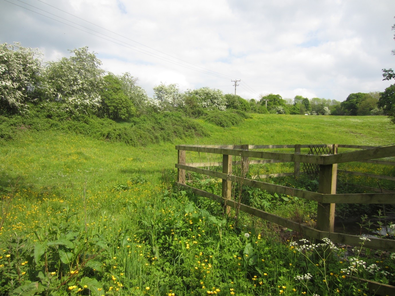 Was there a Medieval Cattle Ranch in Whittle-le-Woods?
