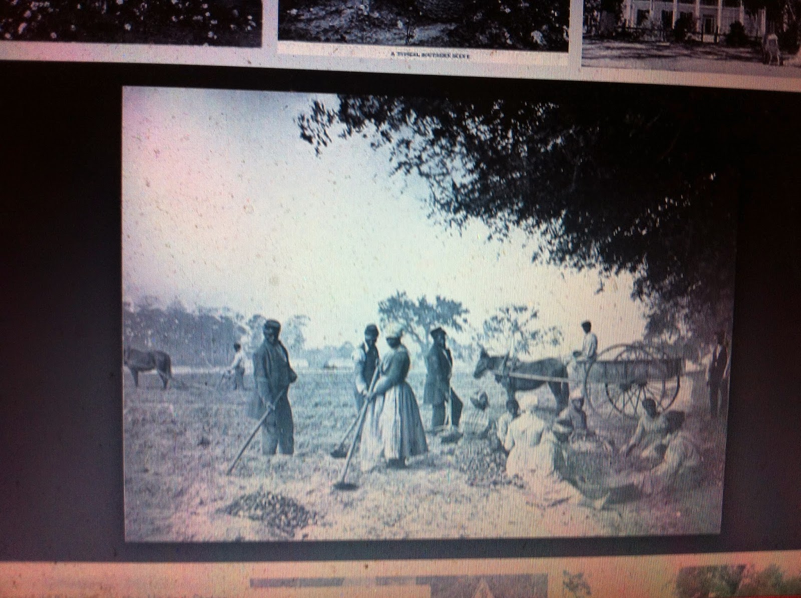 THE BLACK SOCIAL HISTORY:: BLACK SOCIAL HISTORY : SLAVERT AND THE ...