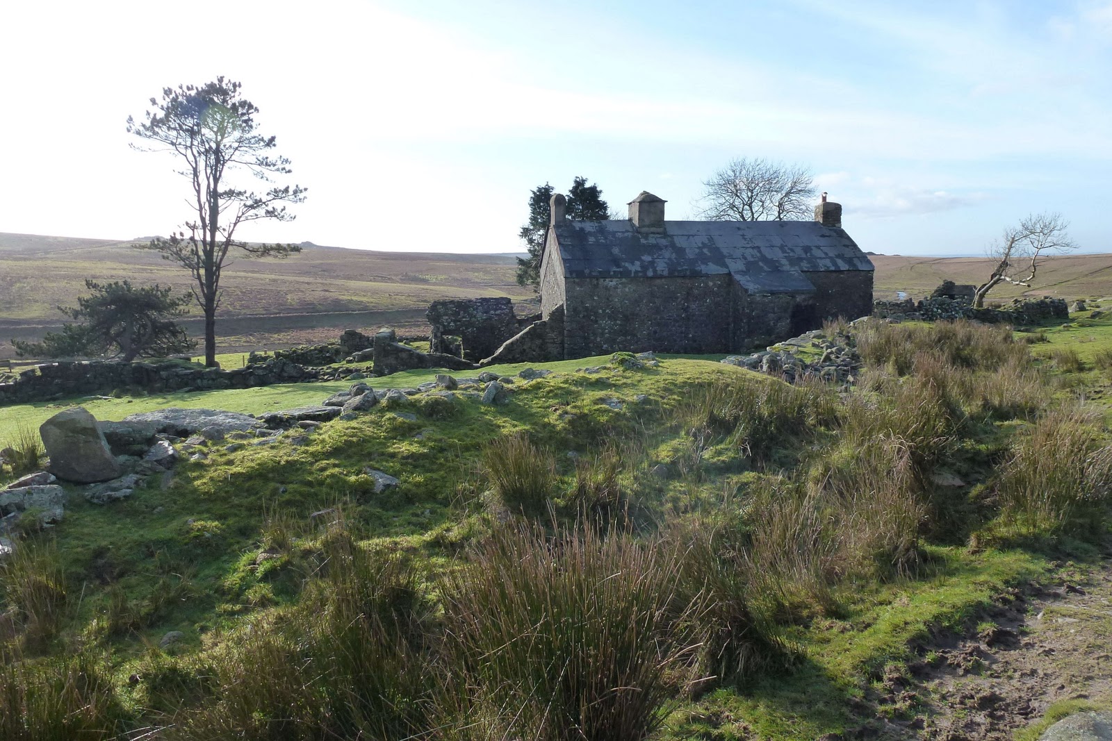 My Dartmoor Walks: Friday 13th January Gutter Tor and War Horse