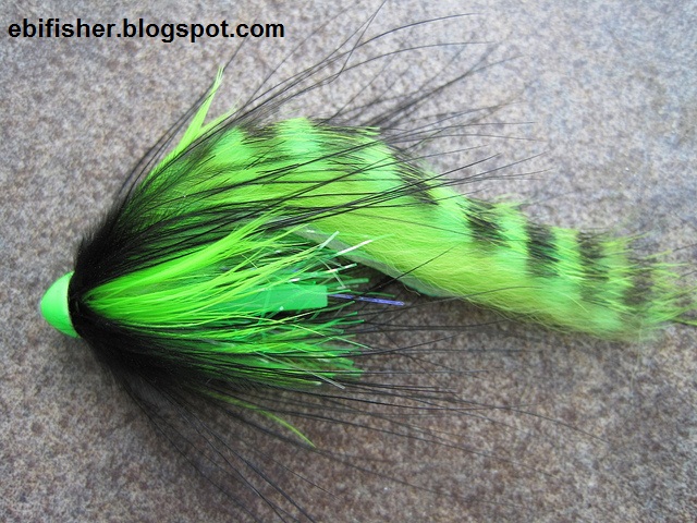 Ebi Fisher: آزاد ماهی چینوک اقیانوس آرام (Pacific salmon) Chinook