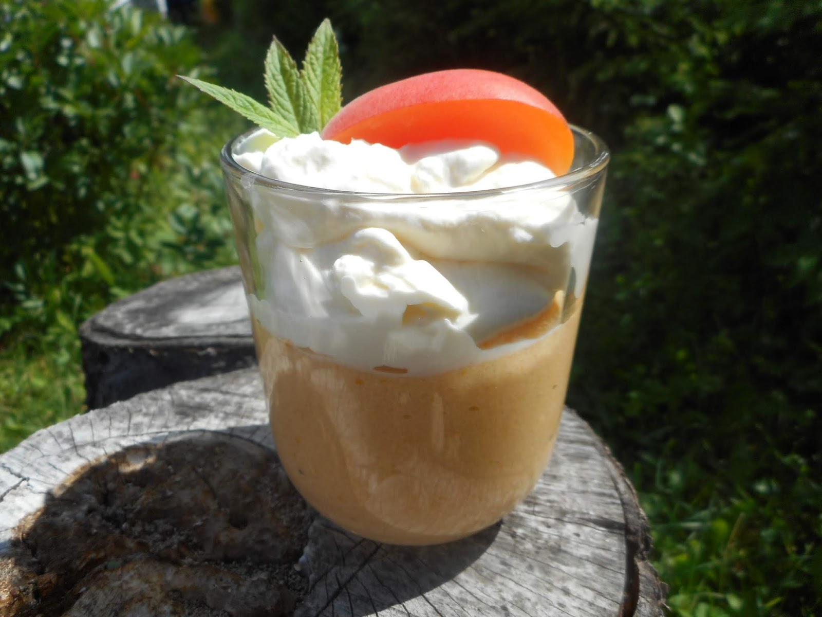 Tasub ise teha: Hõrk aprikoosi-riisivaht