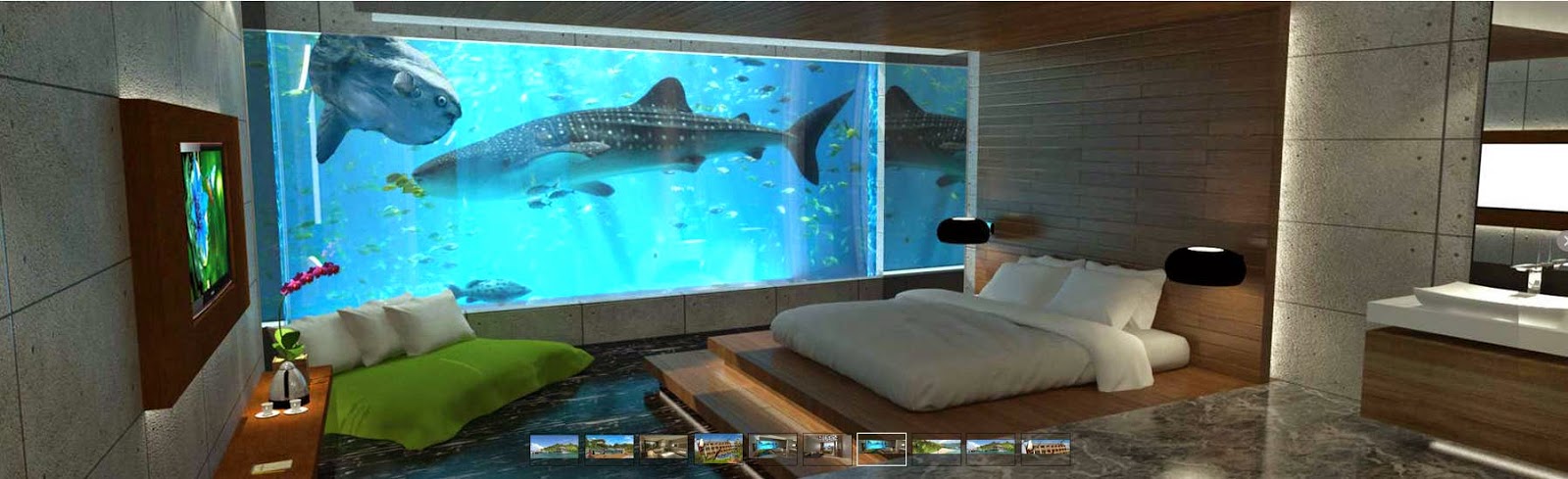 Save Turtle Bay Marine Sanctuary